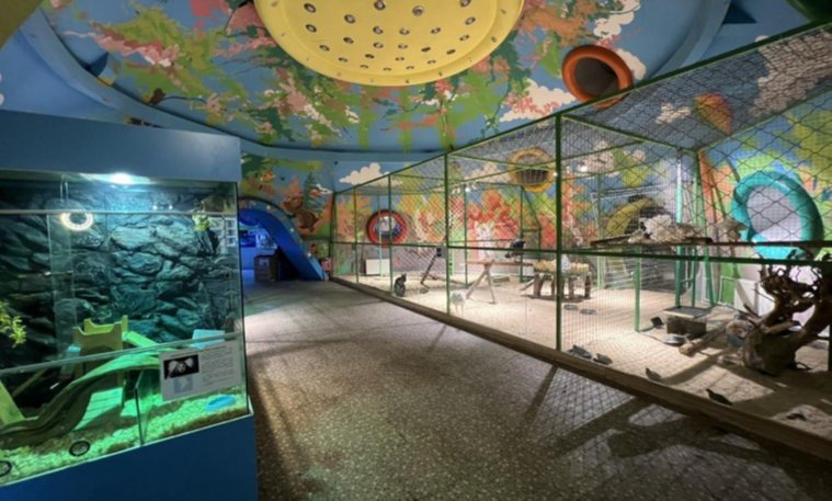 Улаанбаатар амьтны хүрээлэн Хүүхдийн парк дотор ажиллаж эхэллээ